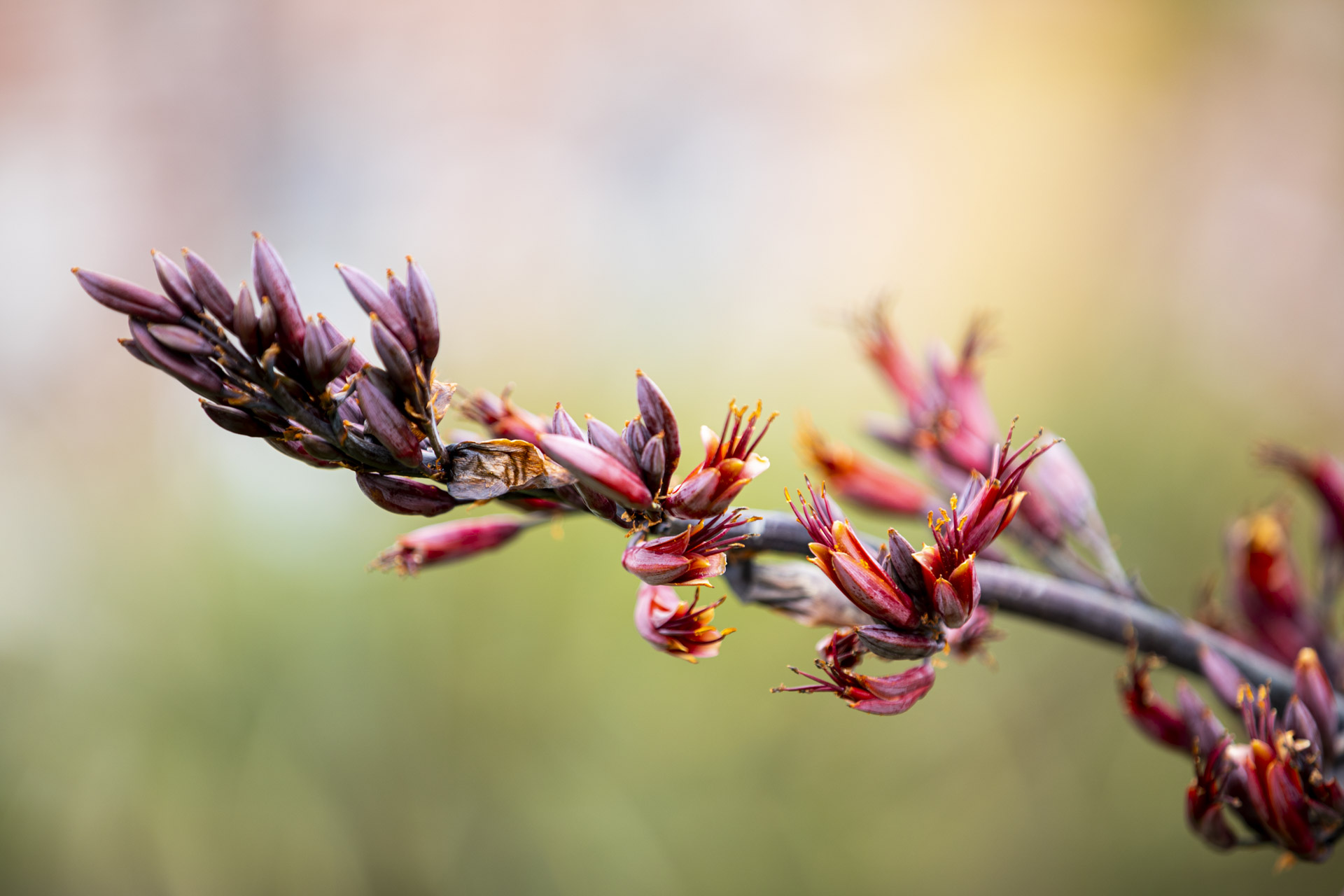 Strategic direction | Te Aronga Rautaki | Environment Canterbury