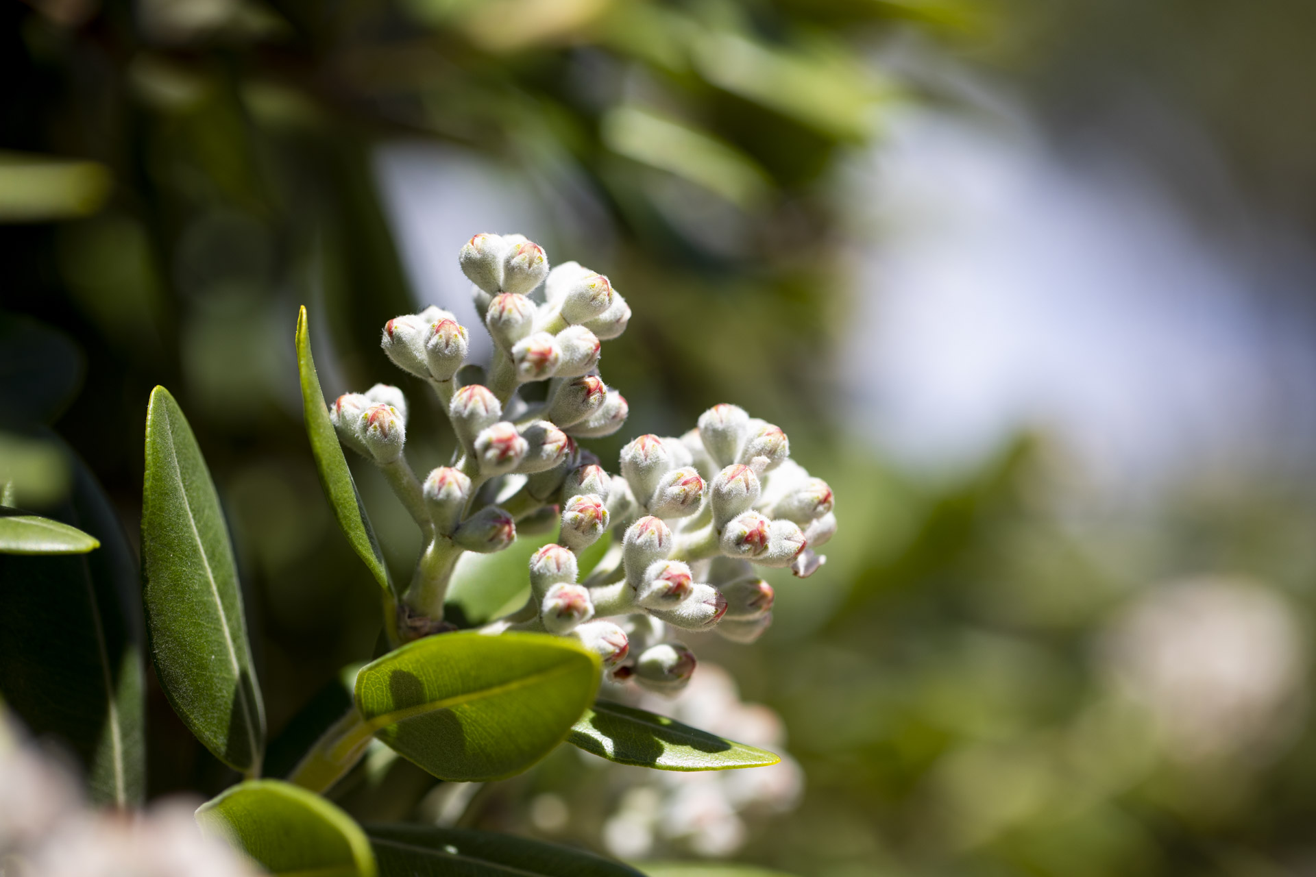 Request information | Environment Canterbury
