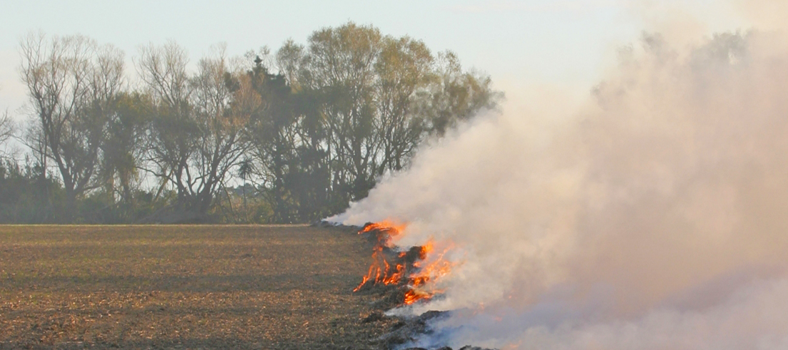 Check it’s all right before you light: plan ahead for stubble burning ...