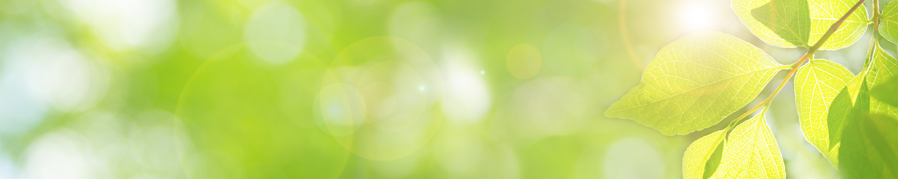 Air quality | Environment Canterbury