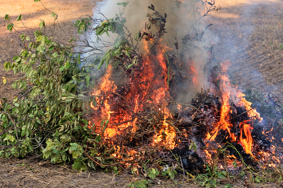 Outdoor burning | Environment Canterbury