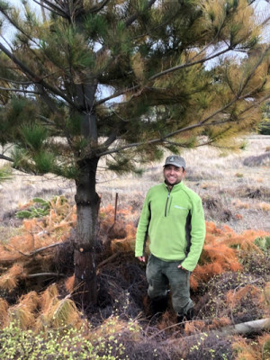 Terrestrial projects | Environment Canterbury