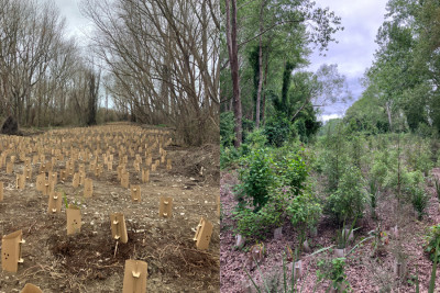 Braided river projects | Environment Canterbury