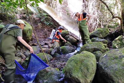 Freshwater biodiversity habitat projects | Environment Canterbury