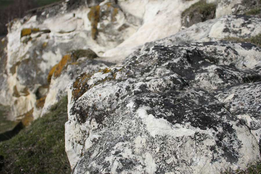 Terrestrial projects | Environment Canterbury