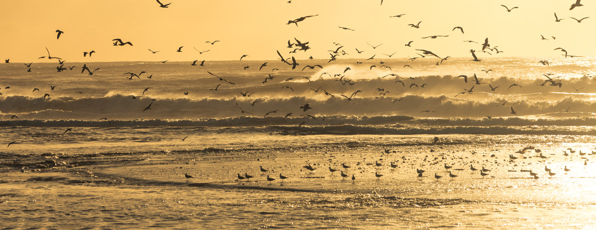 Climate change in Canterbury | Environment Canterbury