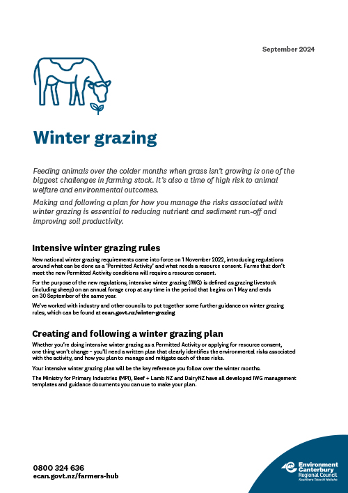 Winter grazing | Environment Canterbury