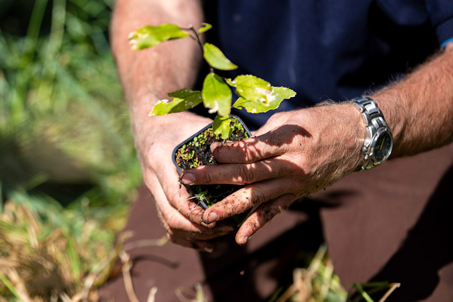 Waitaha Action to Impact Fund | Environment Canterbury