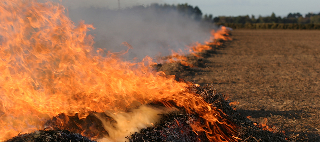 Vigilance remains important in crop residue burning season ...