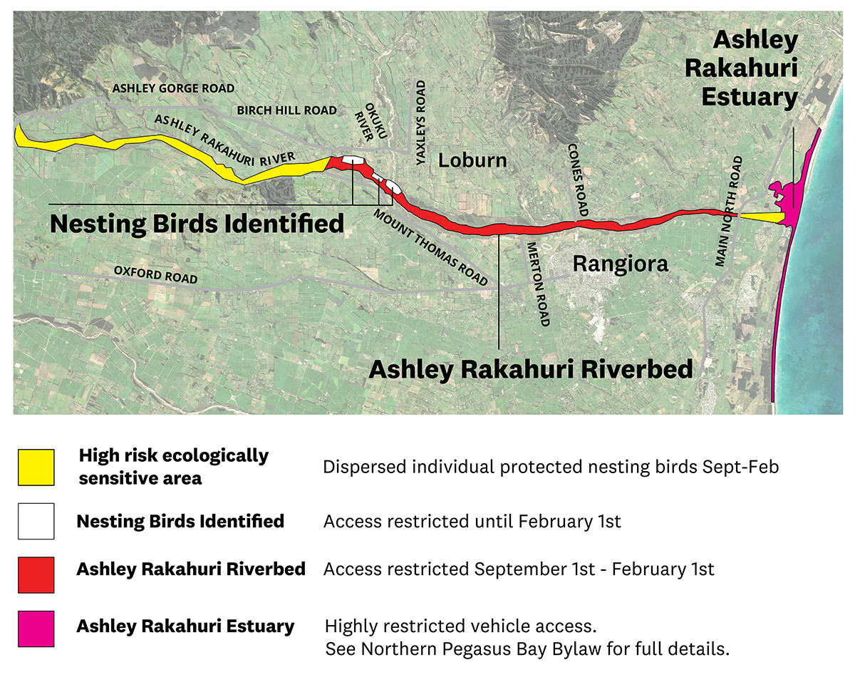 Help our braided river birds rest their wings this breeding season ...