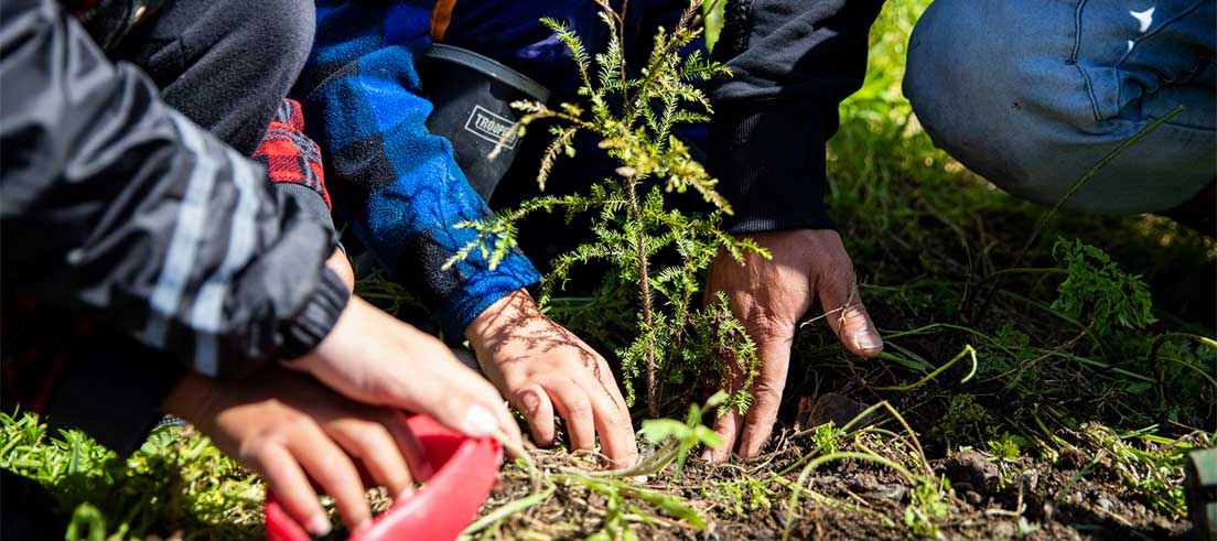 Popular fund opens to give community groups a helping hand to better ...