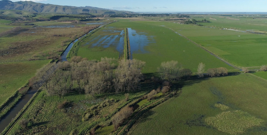 Ahuriri Lagoon project underway | Environment Canterbury
