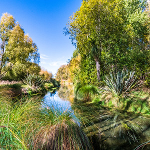 Kaiapoi Island | Environment Canterbury