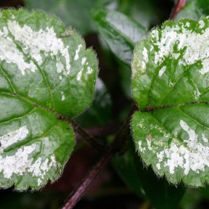Aluminium plant | Environment Canterbury