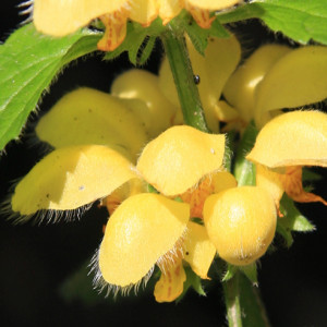 Aluminium plant | Environment Canterbury