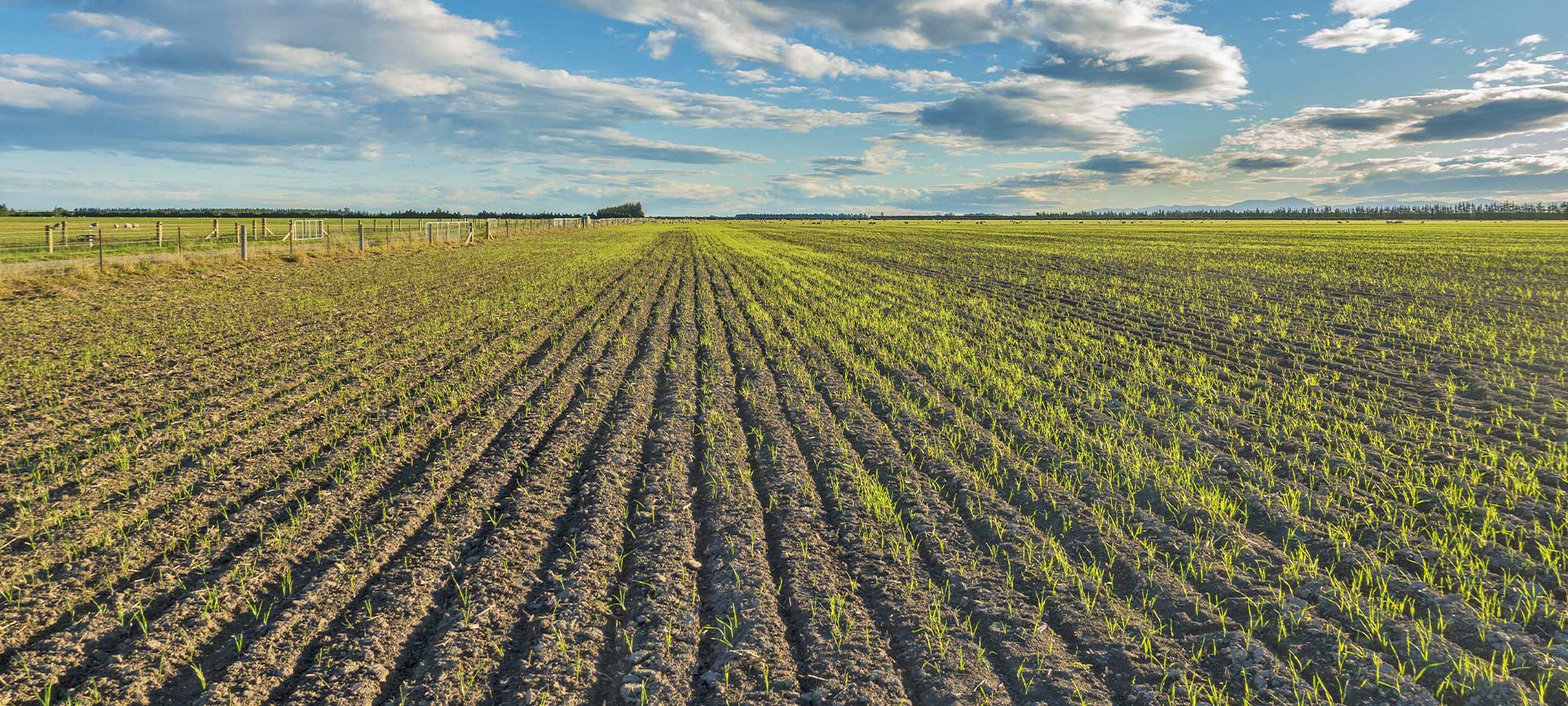 Land | Environment Canterbury