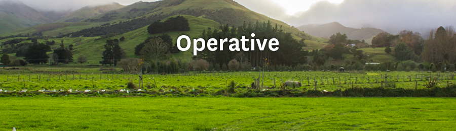 Change 6 - Wairewa/Lake Forsyth | Environment Canterbury