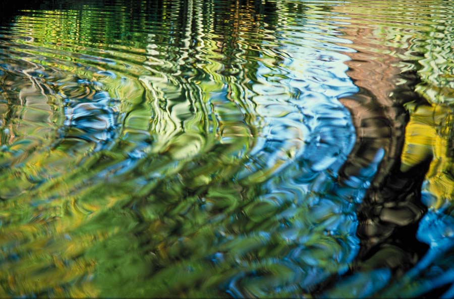 Improving water quality in Cashmere Stream | Environment Canterbury