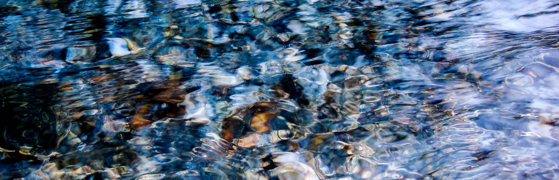Health warnings | Environment Canterbury