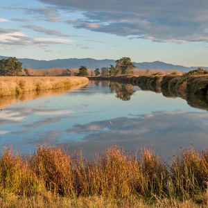 Lower Waitaki South Coastal Canterbury zone biodiversity | Environment ...