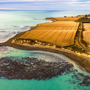 Ōrāri Temuka Ōpihi Pareora zone biodiversity | Environment Canterbury