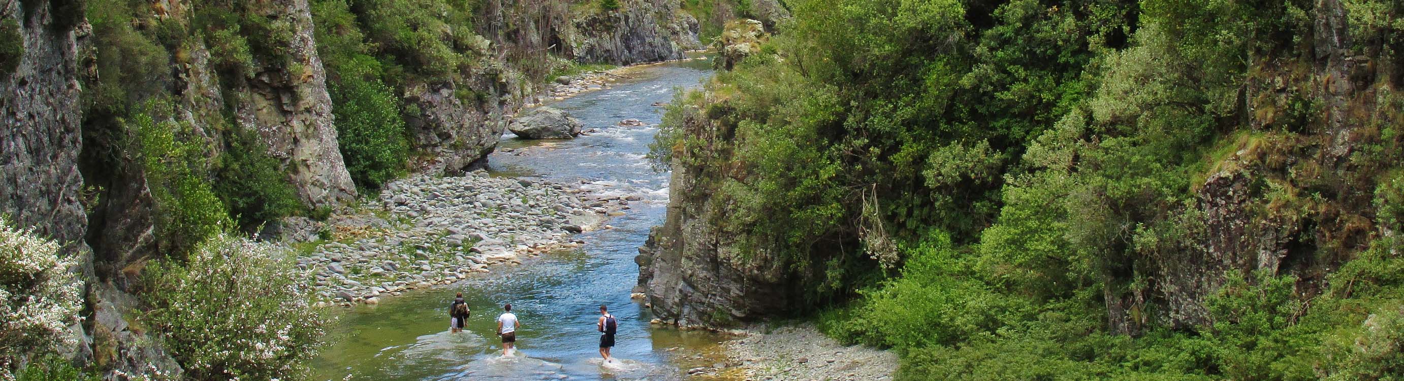 Ōrāri Temuka Ōpihi Pareora water zone | Environment Canterbury